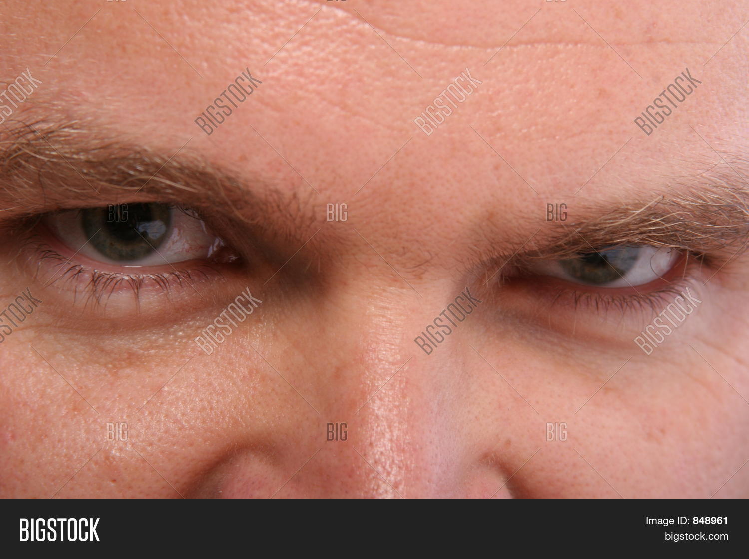 Angry Eyes Image & Photo (Free Trial) | Bigstock
