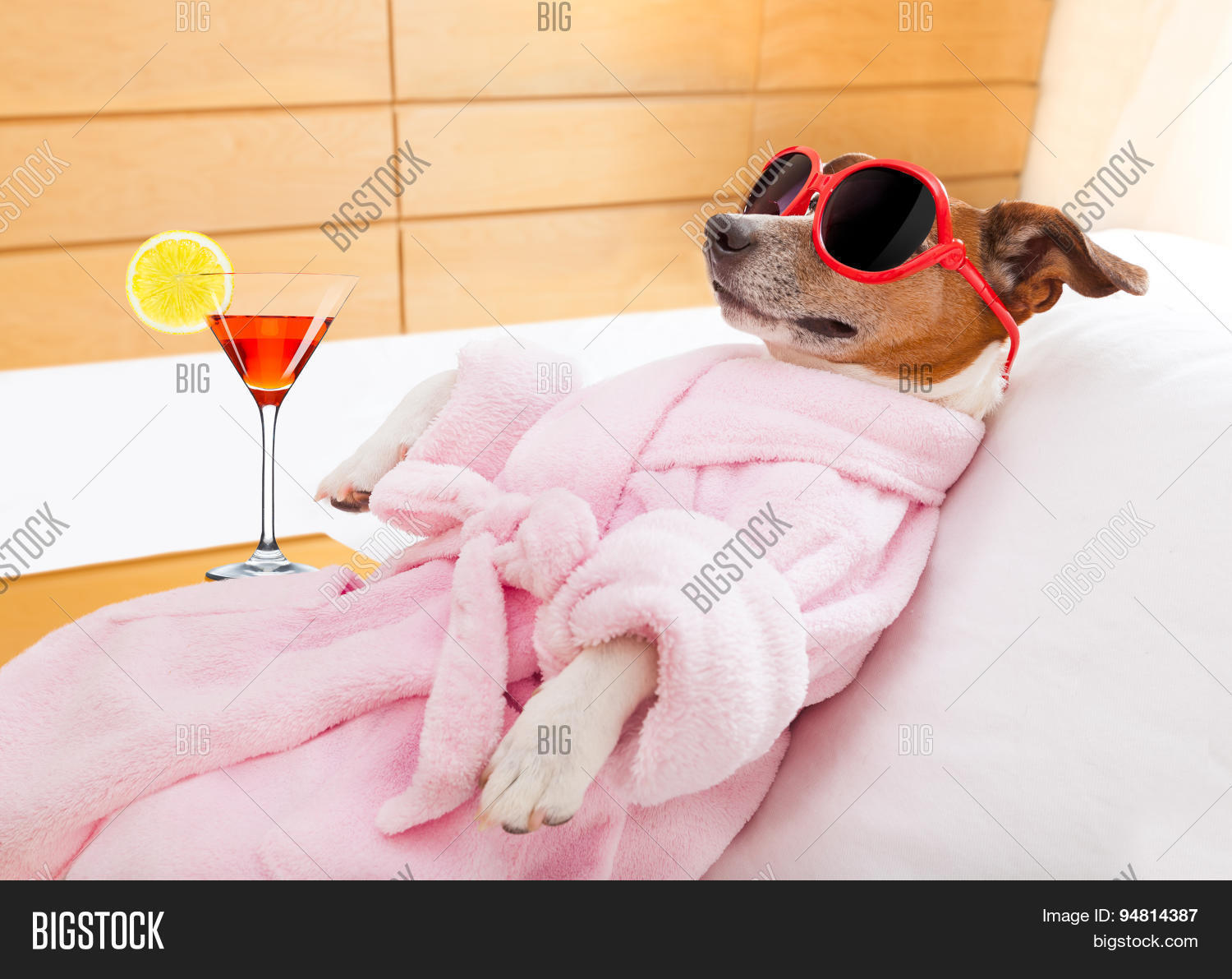Dog Spa Wellness Image & Photo (Free Trial) | Bigstock