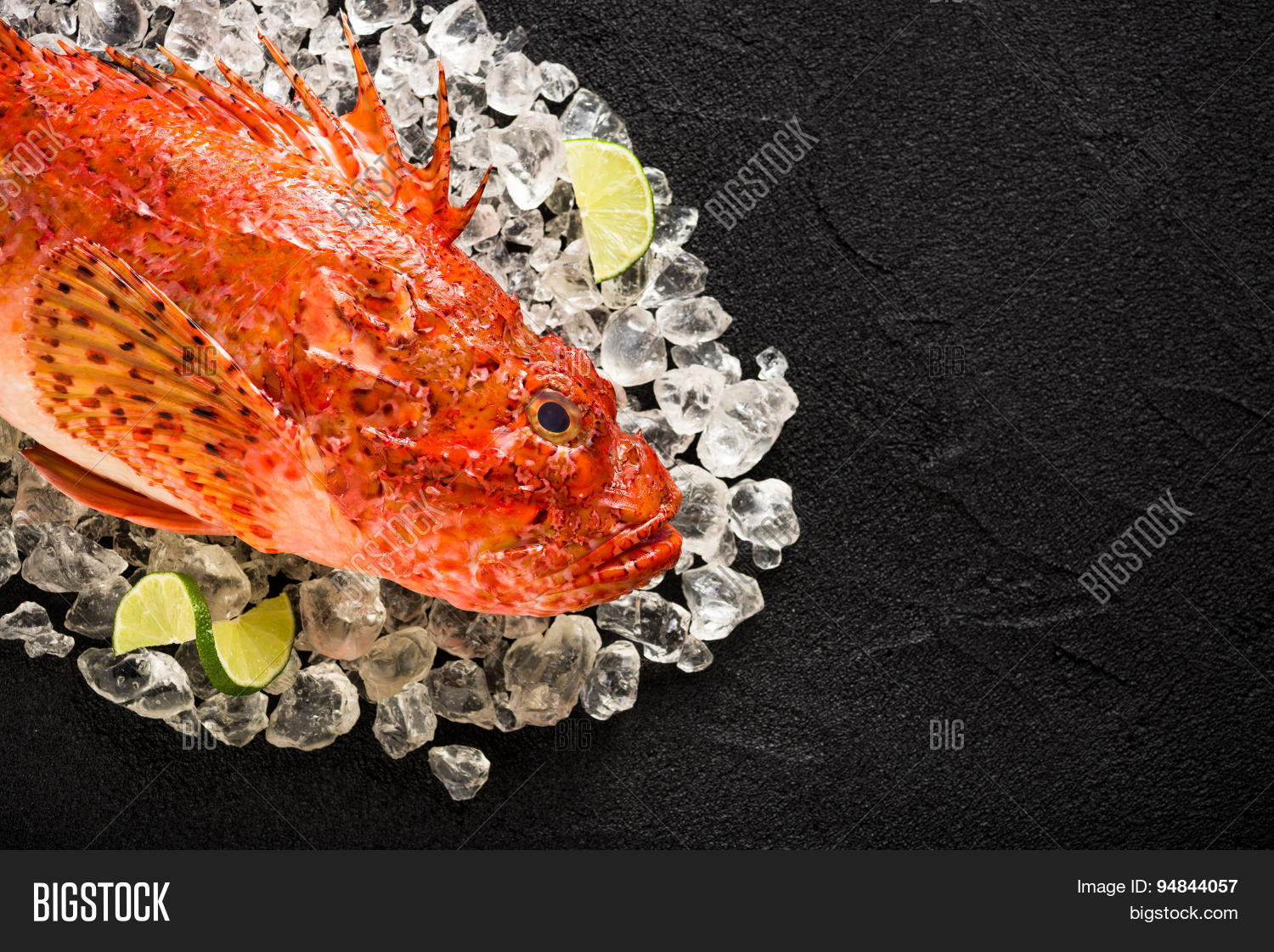 Fresh Scorpion Fish On Image & Photo (Free Trial) | Bigstock