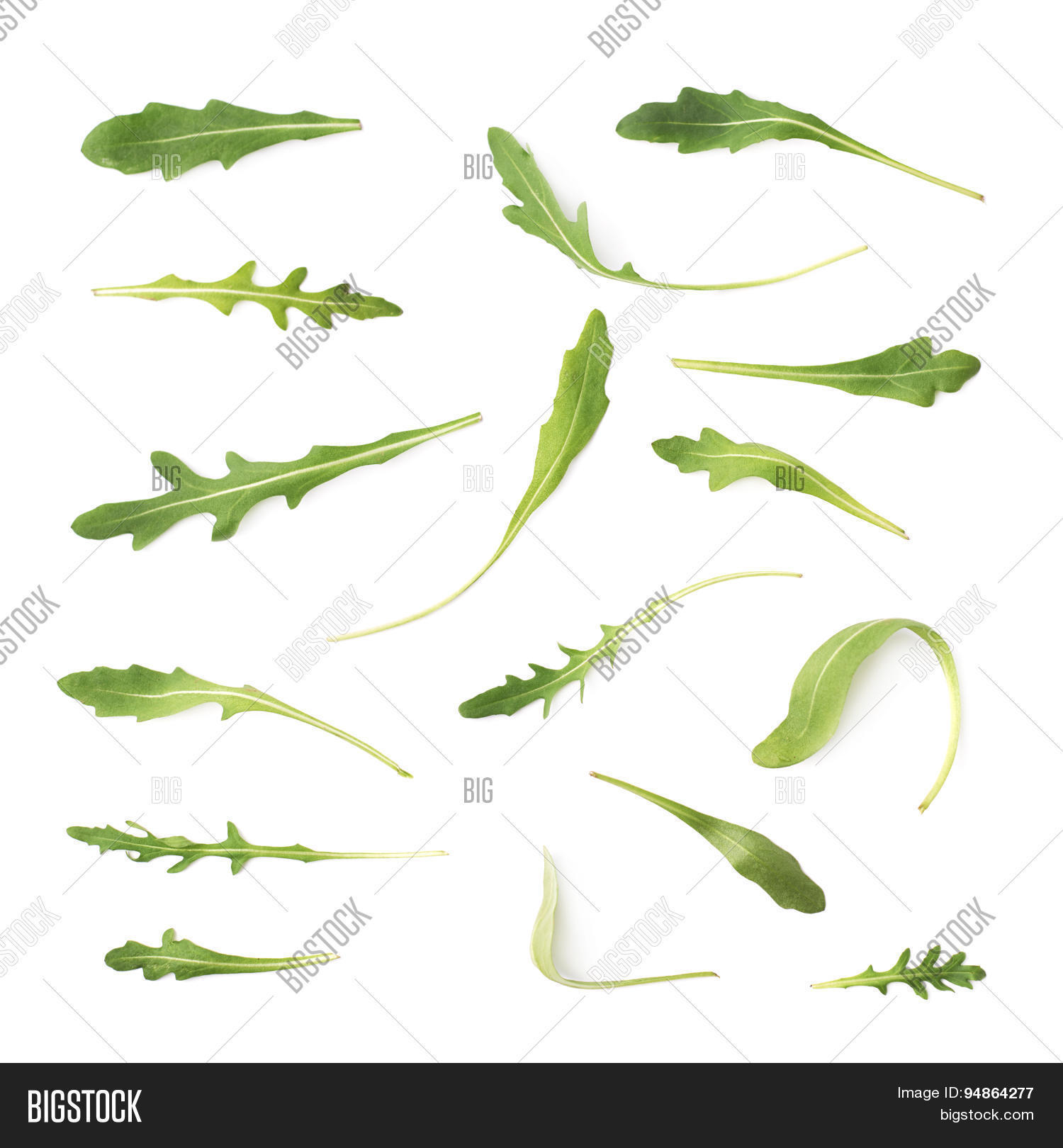 Eruca Sativa Rucola Image & Photo (Free Trial) | Bigstock