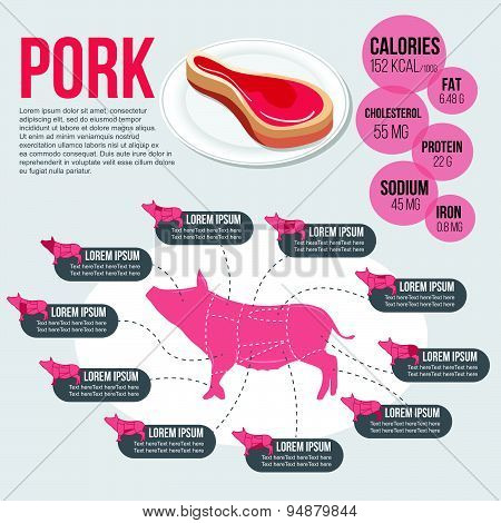 Infographic Parts Vector & Photo (Free Trial) | Bigstock