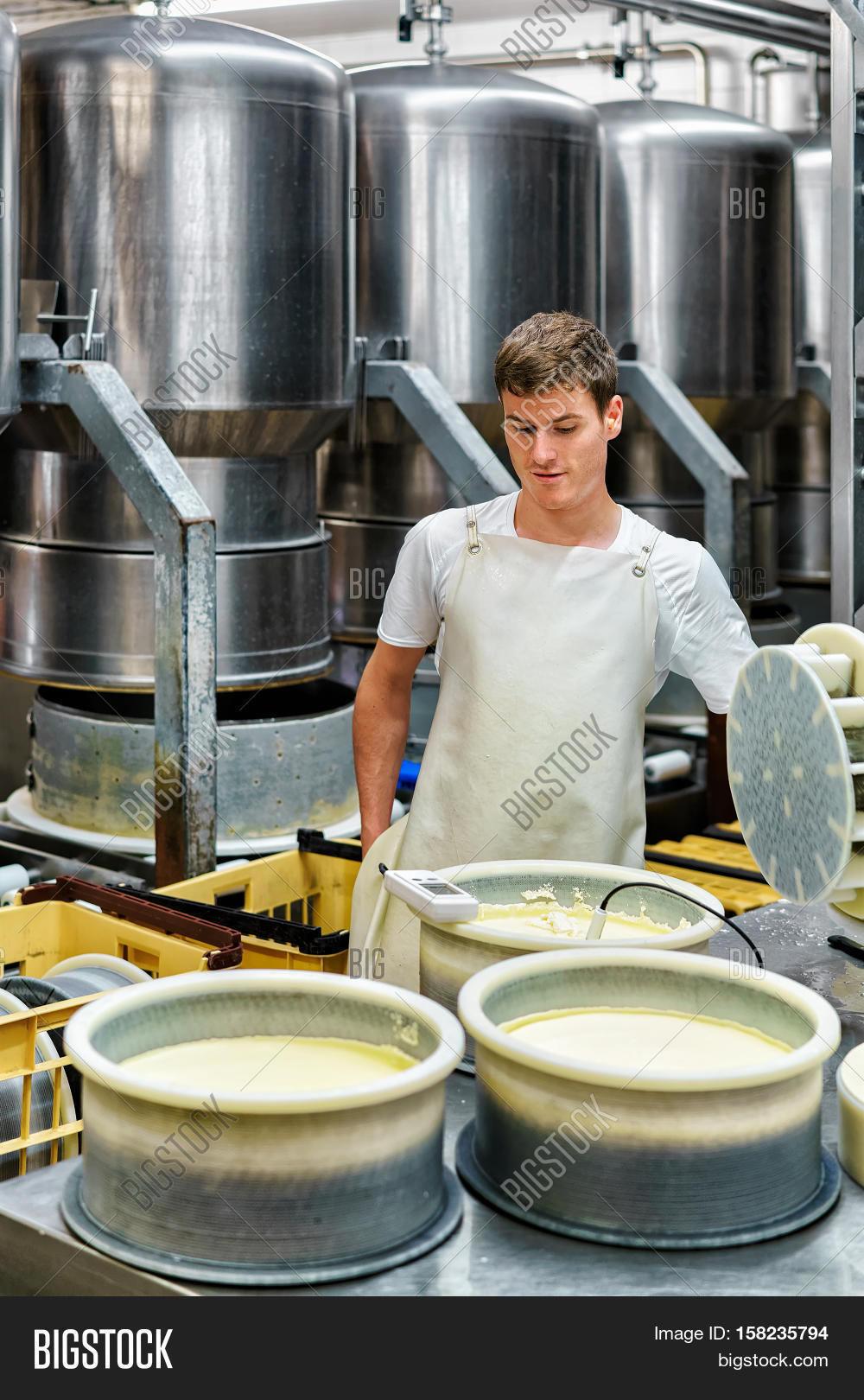 Cheesemaker Putting Image & Photo (Free Trial) | Bigstock