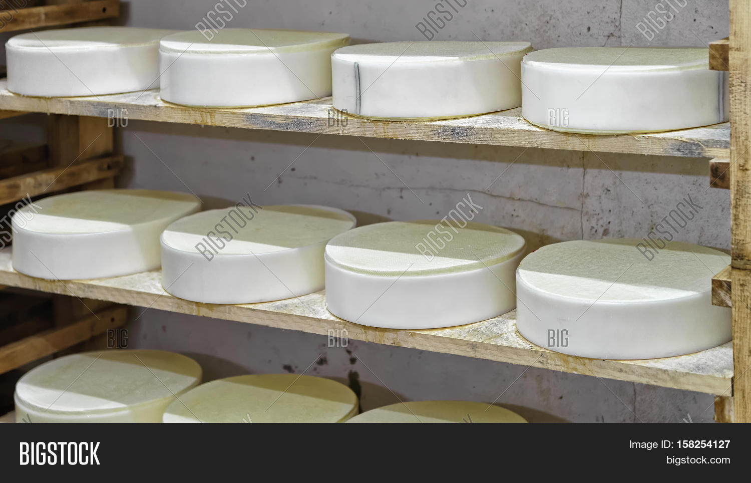 Shelves Young Cheese Image & Photo (Free Trial) | Bigstock