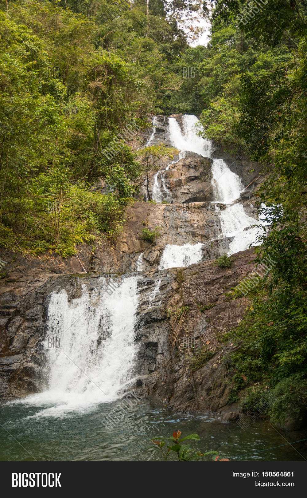 Beautiful Lampi Image & Photo (Free Trial) | Bigstock