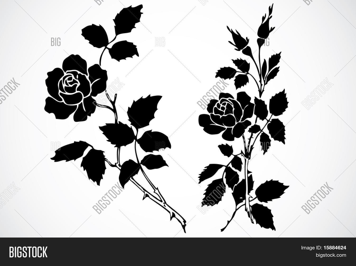 Vector Rose Stems Vector & Photo (Free Trial) | Bigstock