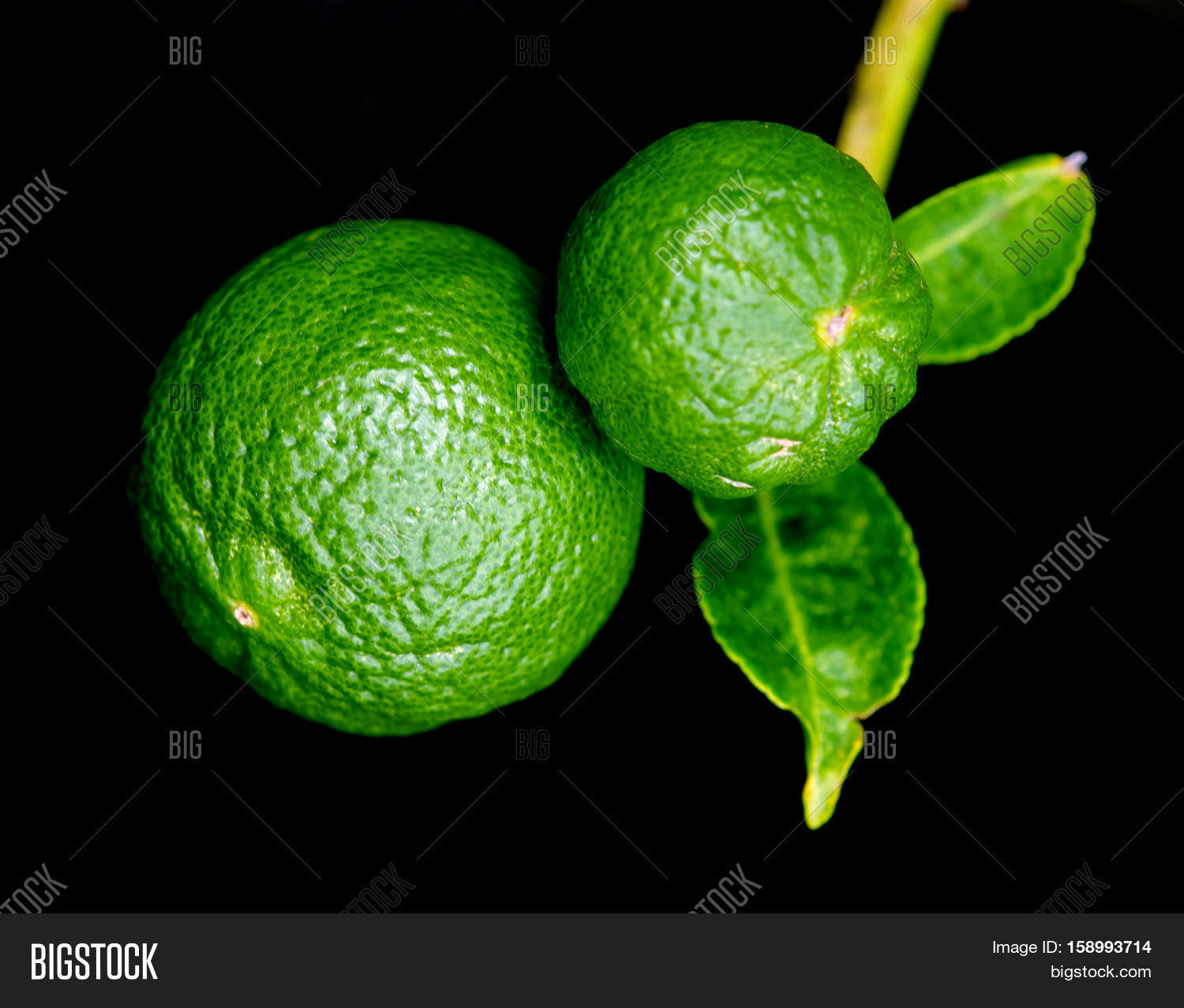 Bergamot Orange Image & Photo (Free Trial) | Bigstock