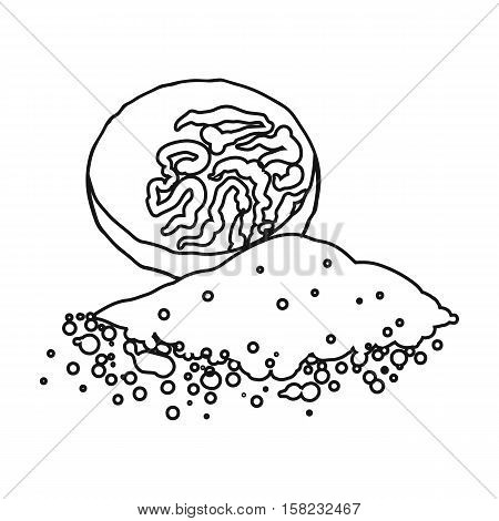 Nutmeg Icon Outline Vector & Photo (Free Trial) | Bigstock