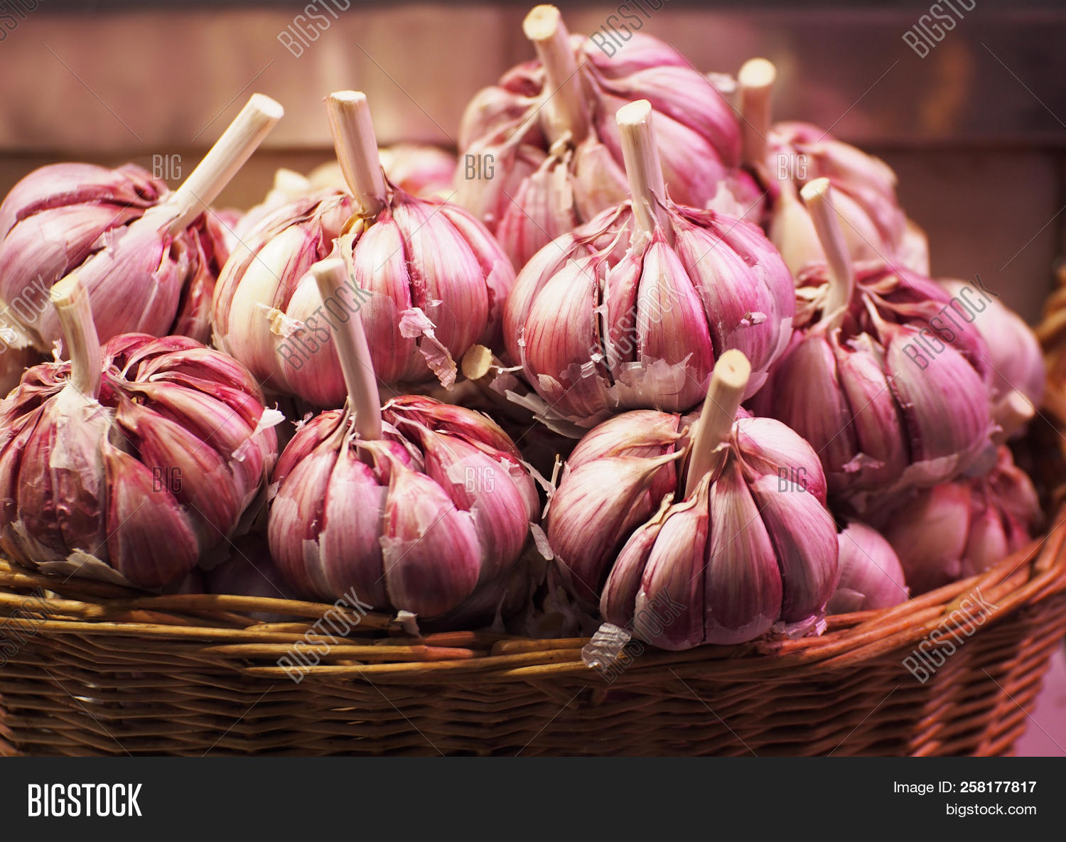 Garlic. Fresh Garlic. Image & Photo (Free Trial) | Bigstock