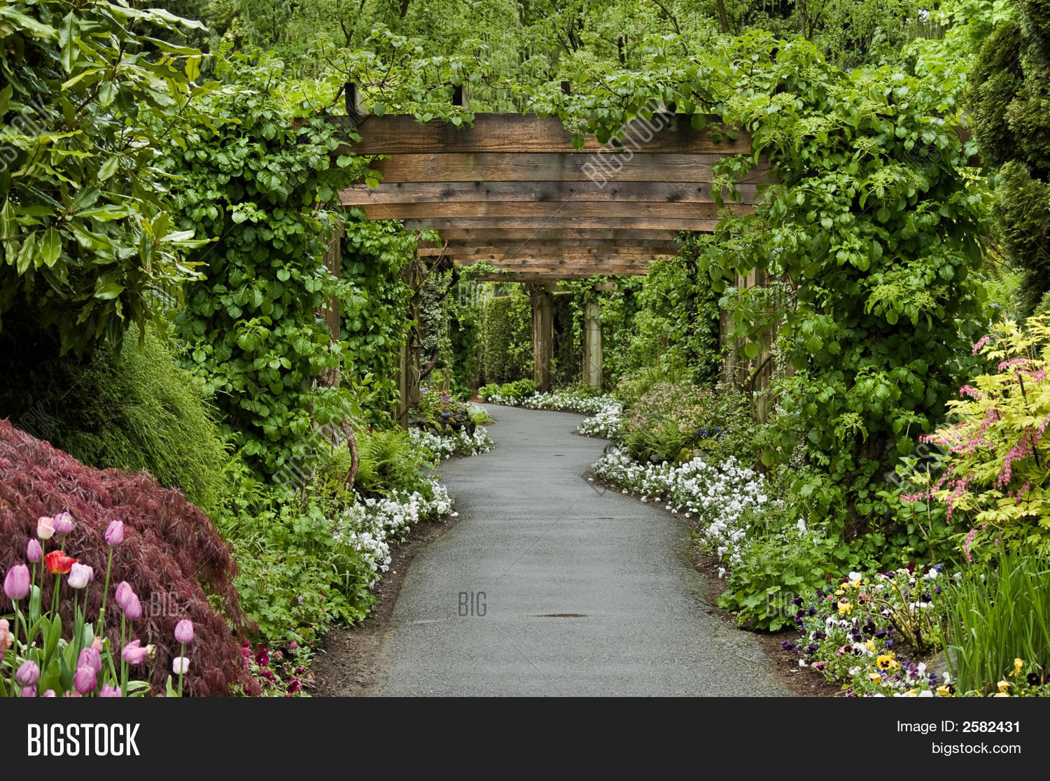Garden Trestle Path Image & Photo (Free Trial) | Bigstock
