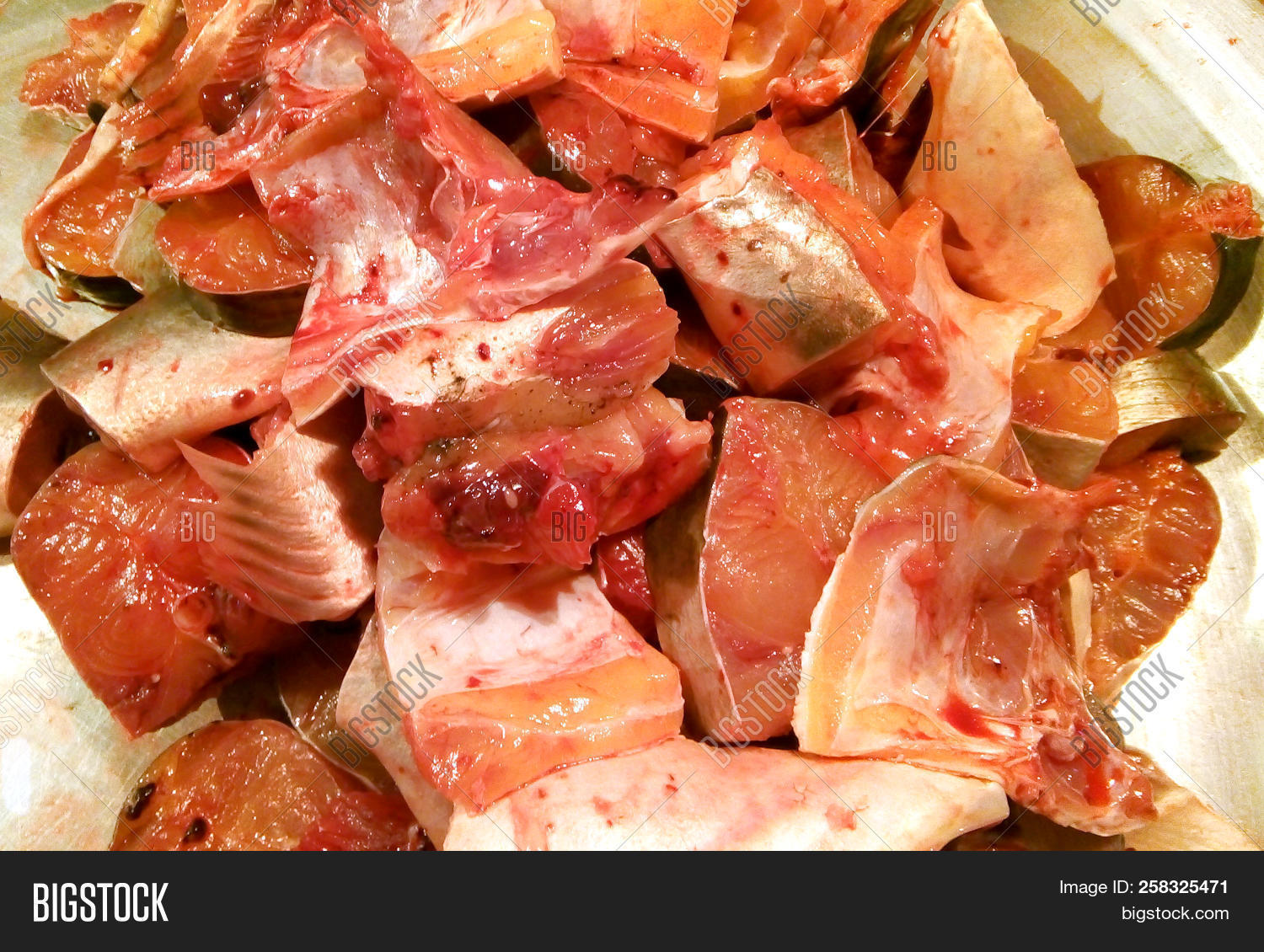 Uncooked Pangas Fish Image & Photo (Free Trial) | Bigstock