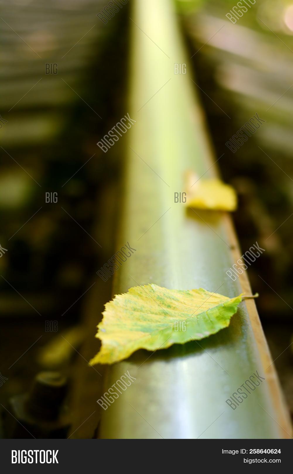 Closeup Rail Tracks Image & Photo (Free Trial) | Bigstock
