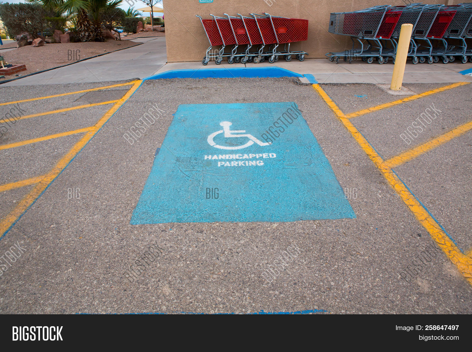 Handicapped Parking Image & Photo (Free Trial) | Bigstock