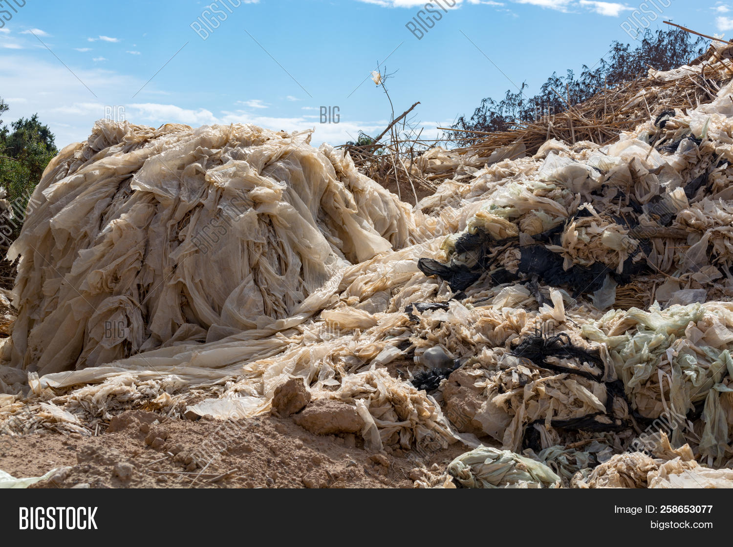 Ecology Disaster Image & Photo (Free Trial) | Bigstock