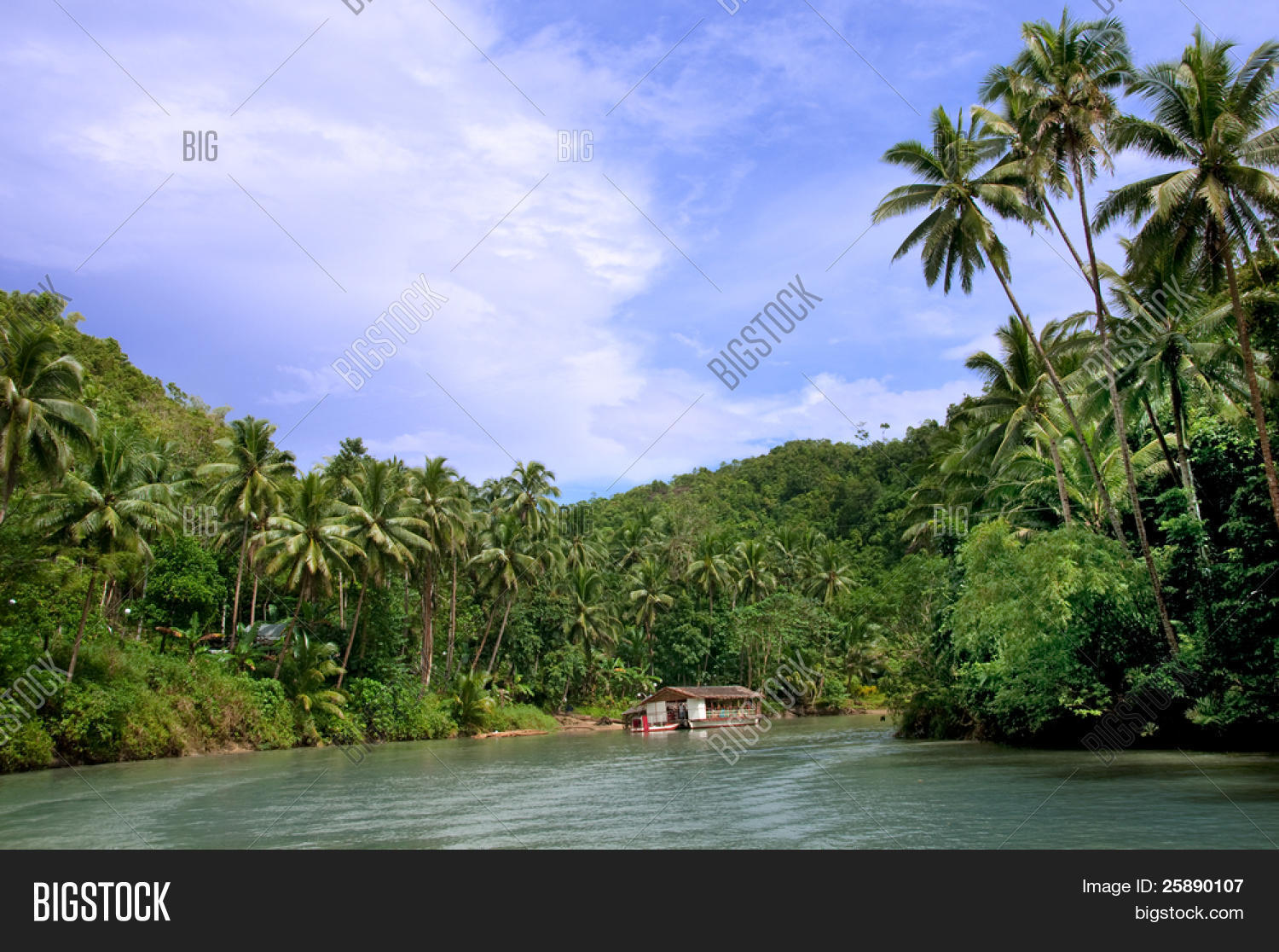 Tropical Jungle River Image & Photo (Free Trial) | Bigstock