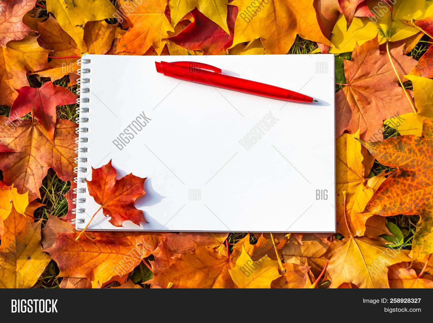 White Paper Notepad Image & Photo (Free Trial) | Bigstock