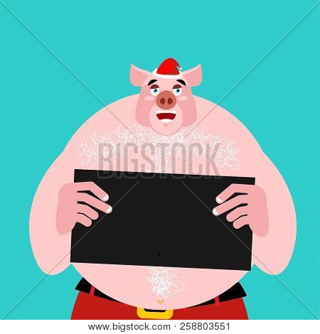 Mugshot Pig 矢量图和照片（免费试用） | Bigstock