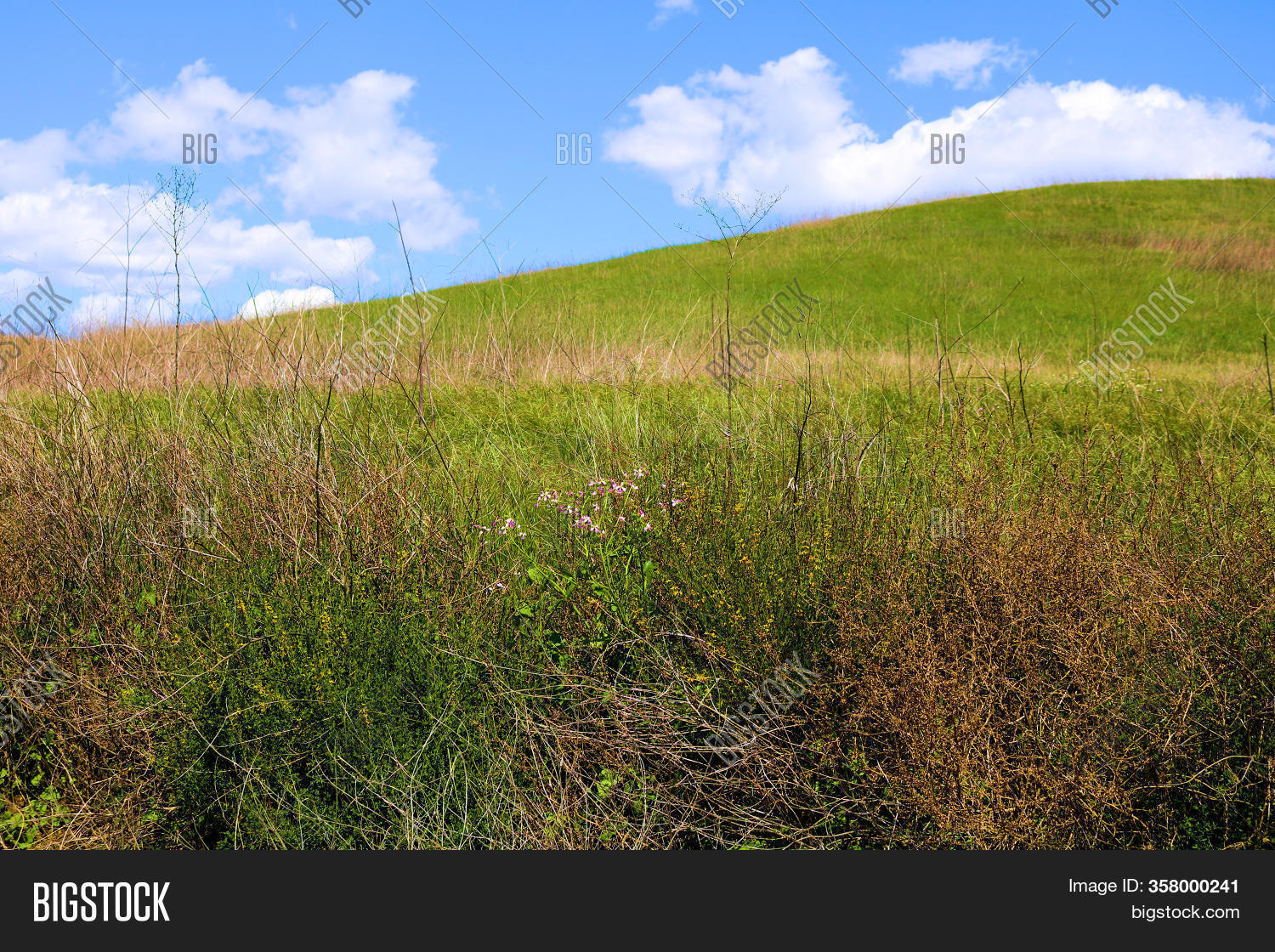 Lush Green Hills Image & Photo (Free Trial) | Bigstock