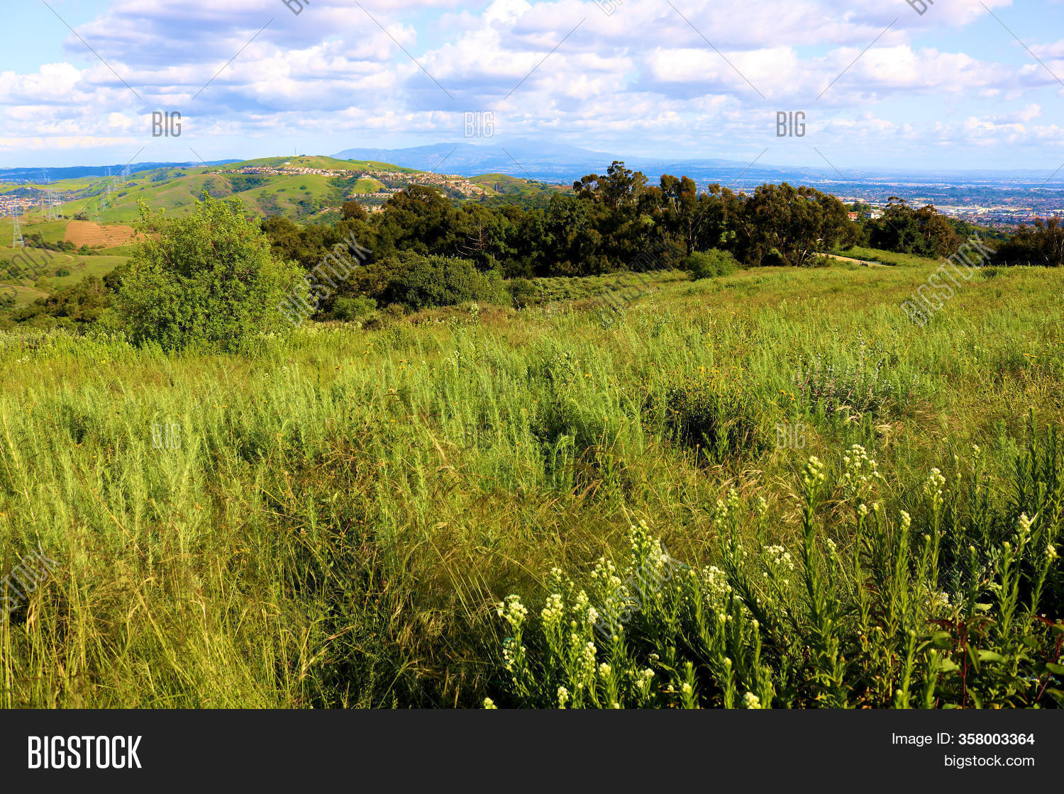 Lush Green Grasslands Image & Photo (Free Trial) | Bigstock