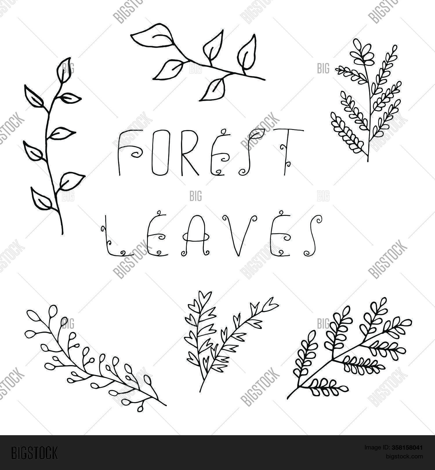 Forest Leaf Hand Vector & Photo (Free Trial) | Bigstock