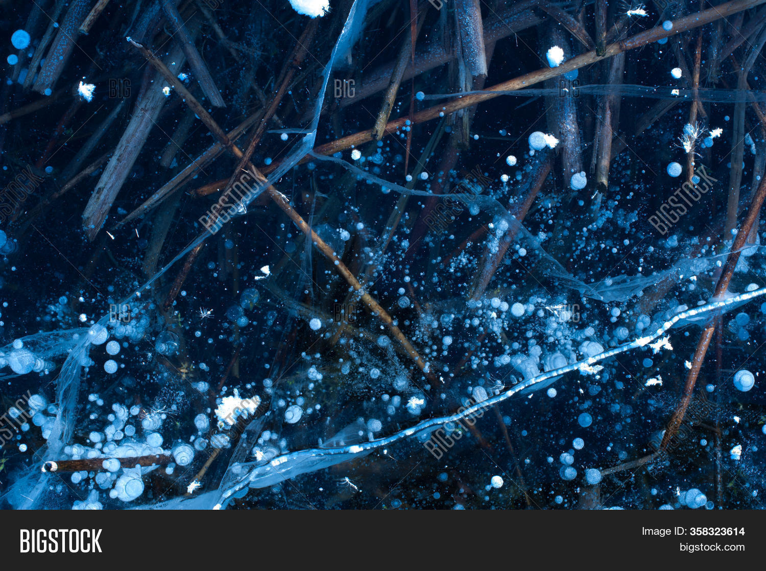 Autumn Withered Grass Image & Photo (Free Trial) | Bigstock