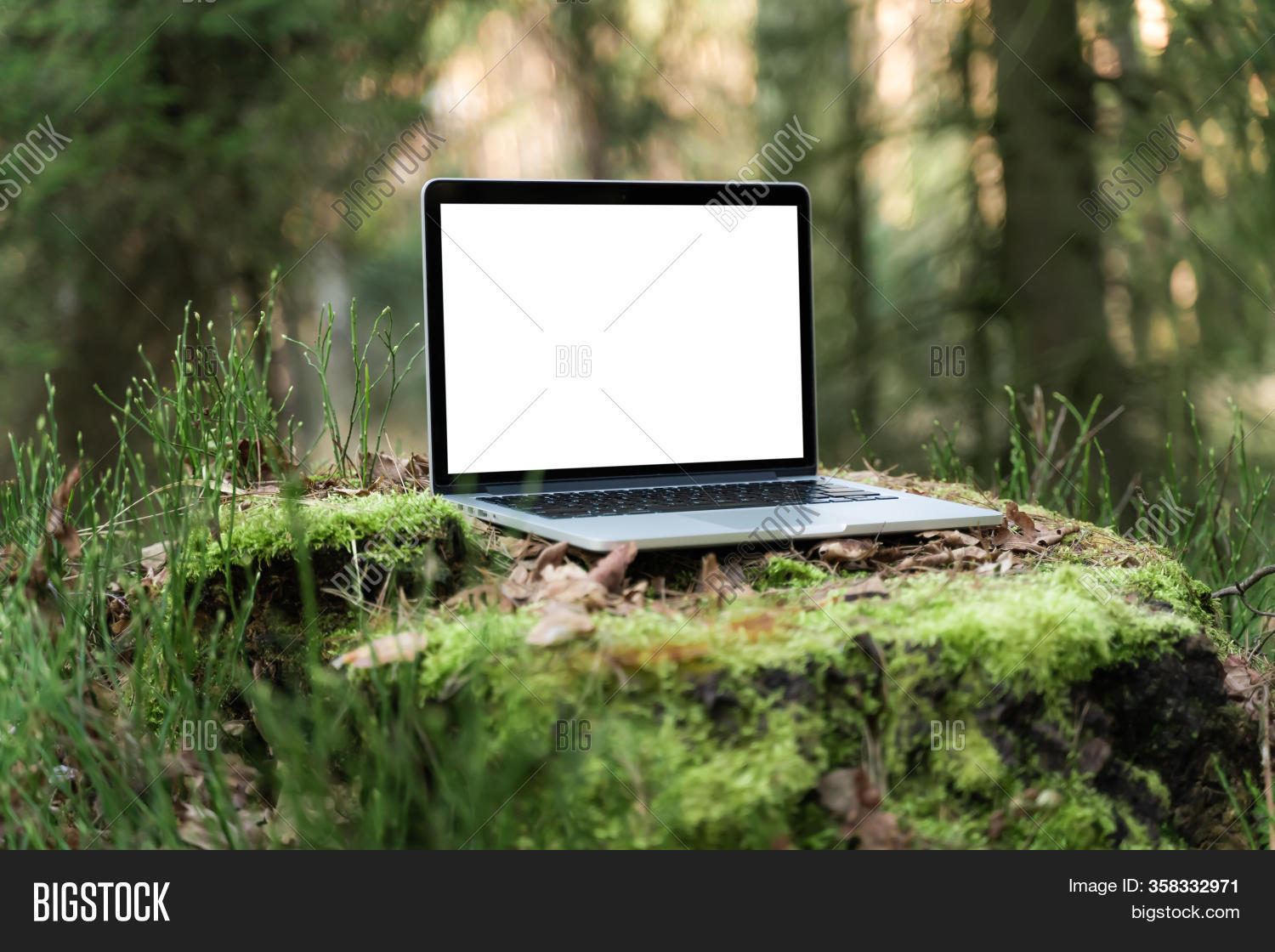 Laptop Outside Concept Image & Photo (Free Trial) | Bigstock