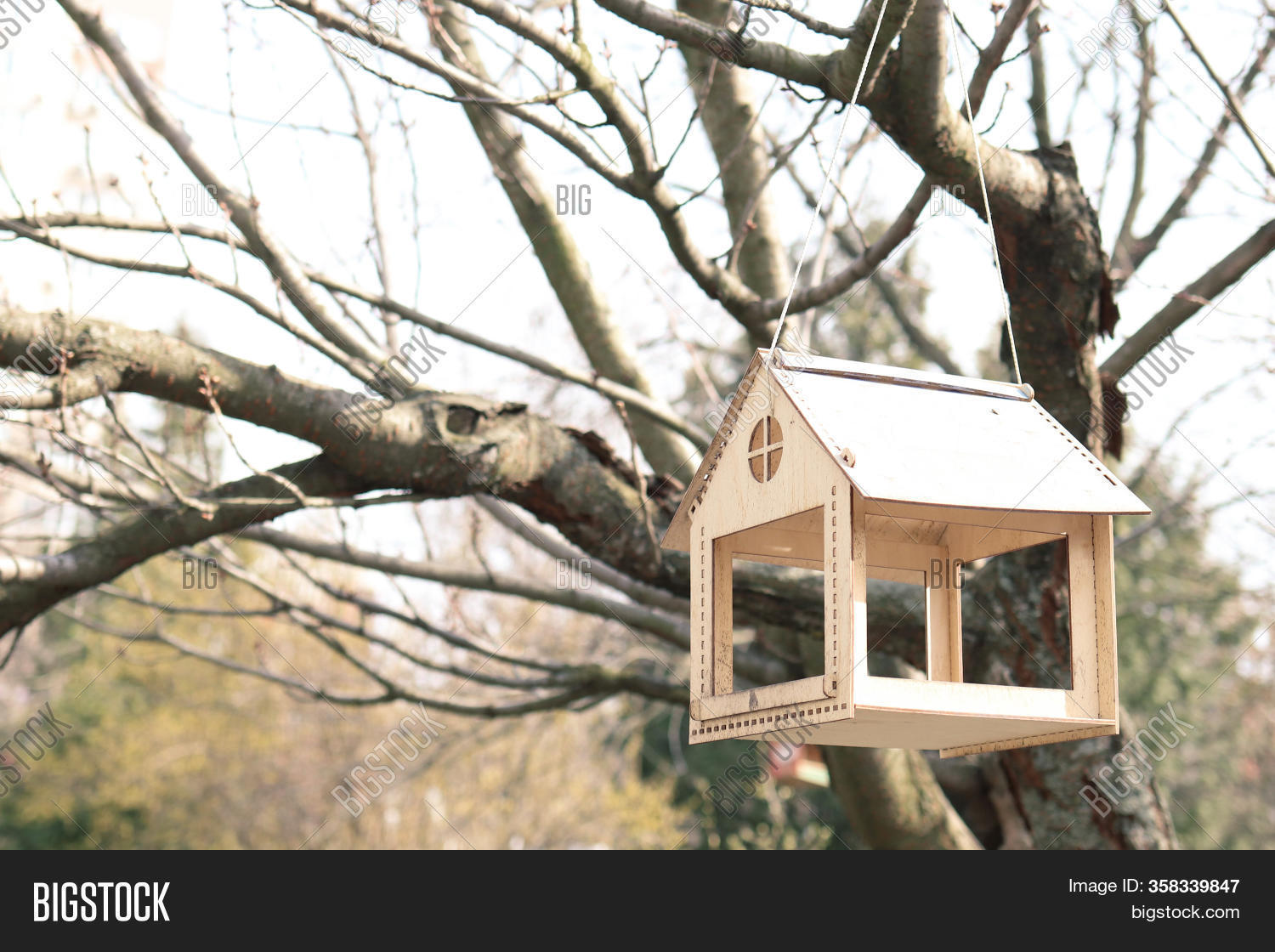 Spring Birdhouse, Image & Photo (Free Trial) | Bigstock