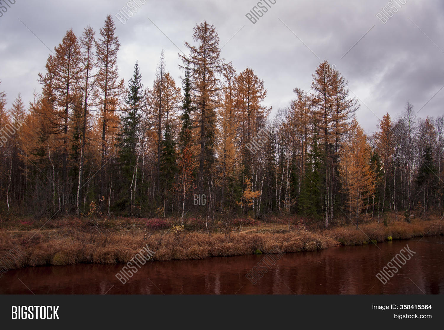 Brown River Slow Image & Photo (Free Trial) | Bigstock
