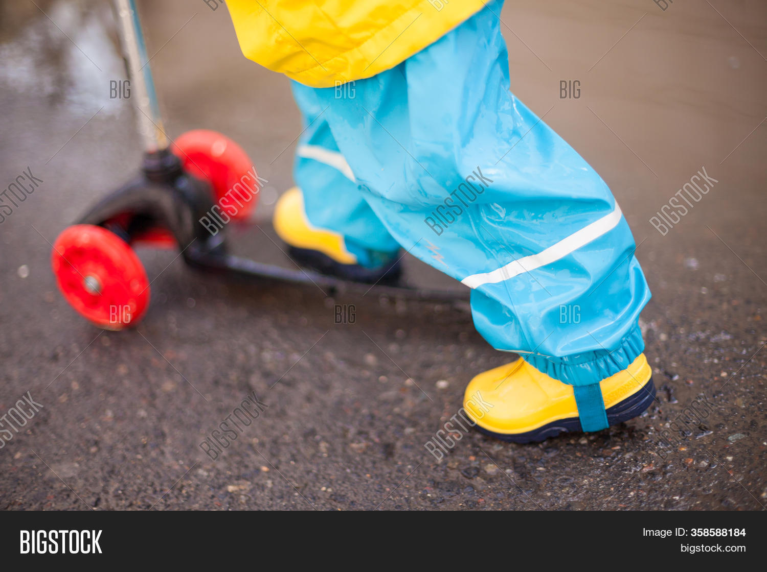 Spring Walks Any Image & Photo (Free Trial) | Bigstock