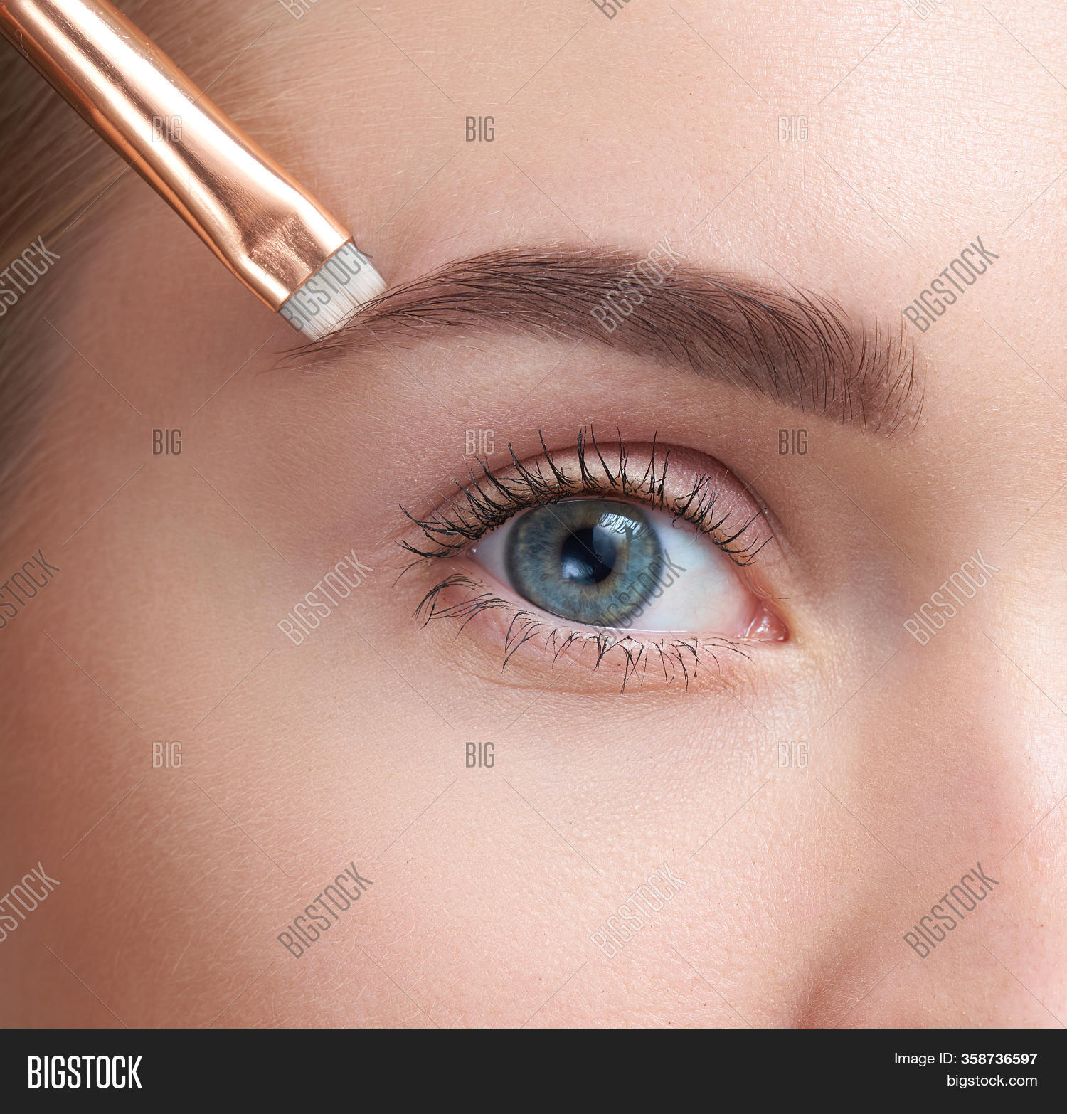 Eyebrows Care. Closeup Image & Photo (Free Trial) | Bigstock