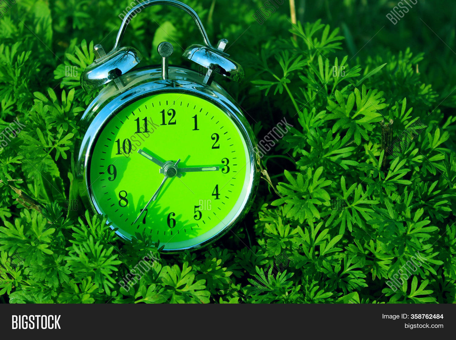Green Clock On Green Image & Photo (Free Trial) | Bigstock