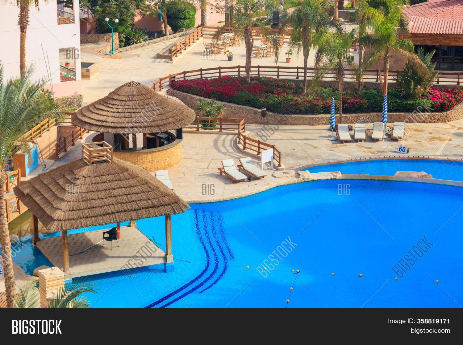 Aerial View Swimming Image & Photo (Free Trial) | Bigstock