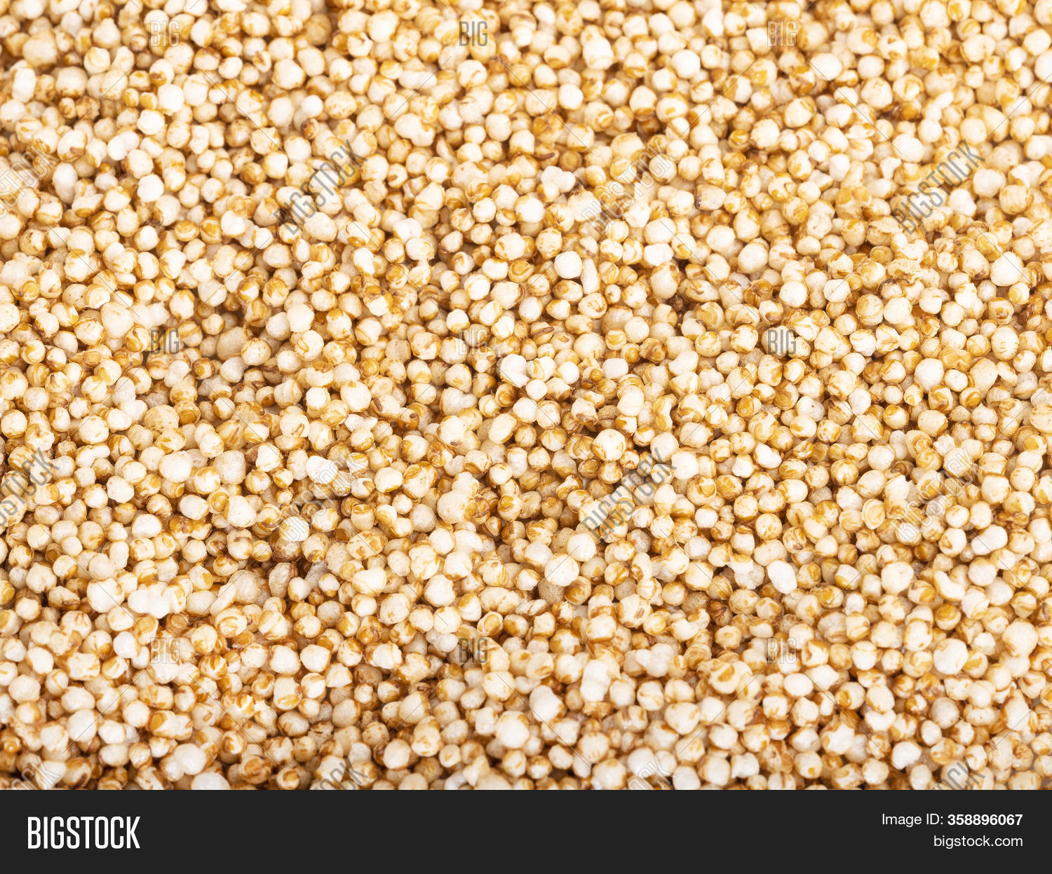 Popped Amaranth Grain Image & Photo (Free Trial) | Bigstock