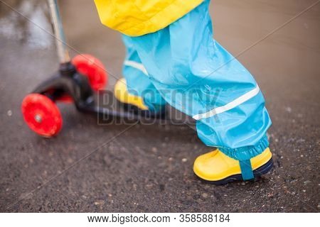 Spring Walks Any Image & Photo (Free Trial) | Bigstock