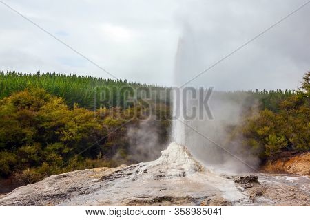 Extinction Daily Image & Photo (Free Trial) | Bigstock