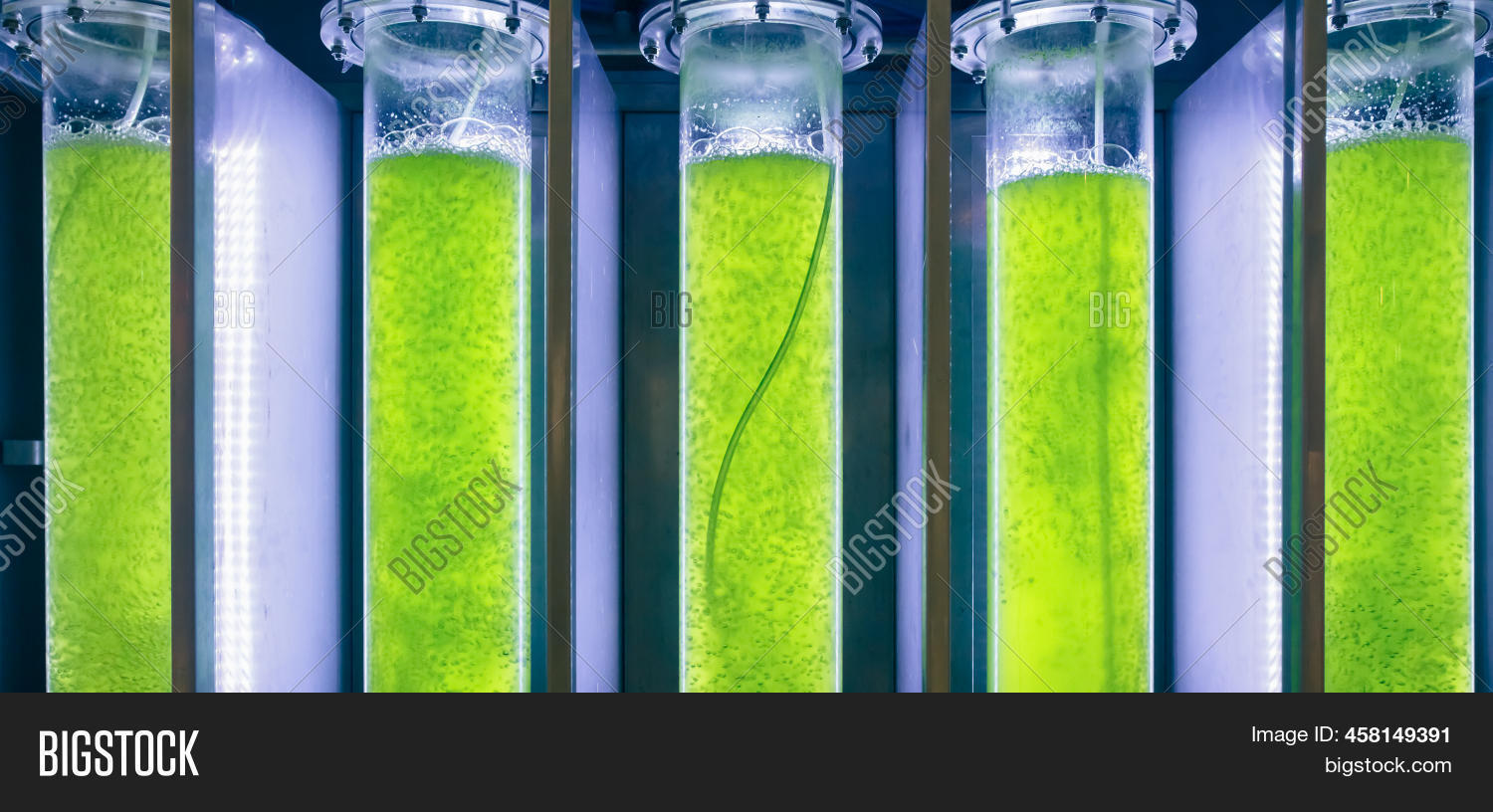 Algae Fuel Biofuel Image And Photo Free Trial Bigstock