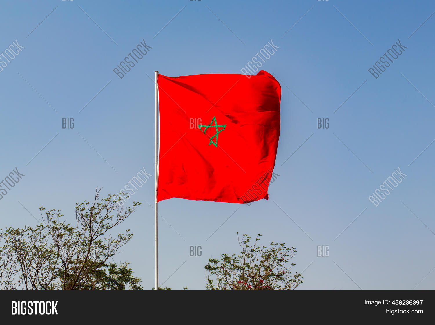 Isolated Moroccan Flag Image & Photo (Free Trial) | Bigstock