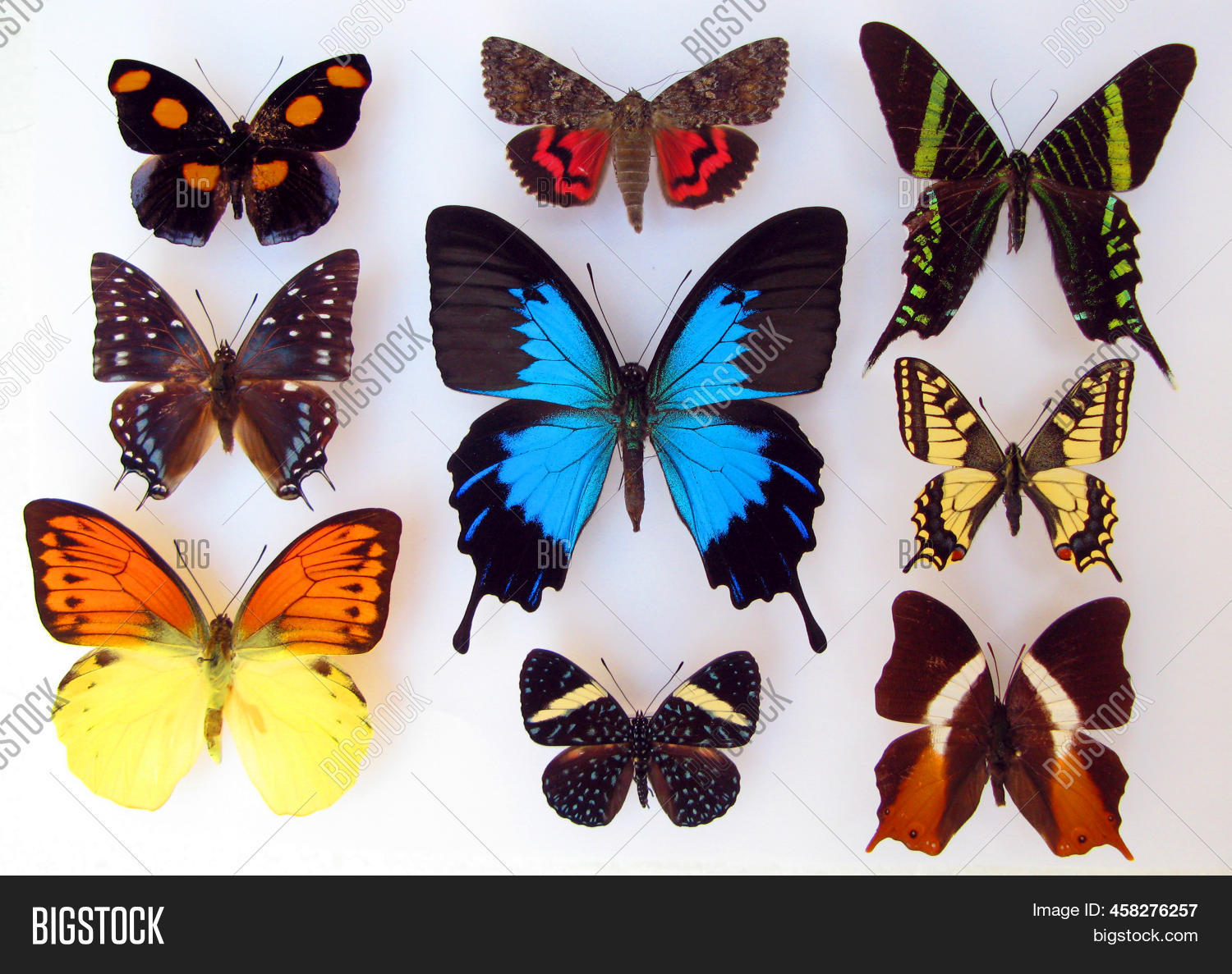 Collection Bright Image & Photo (Free Trial) | Bigstock