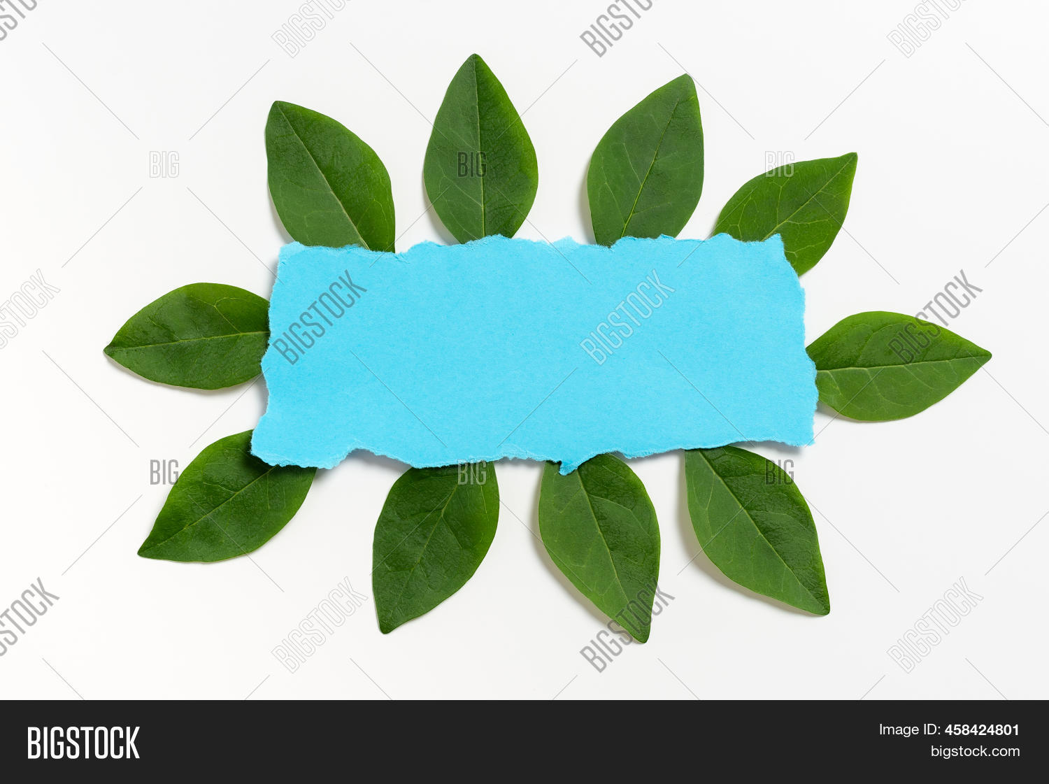 Blank Color Paper Image & Photo (Free Trial) | Bigstock