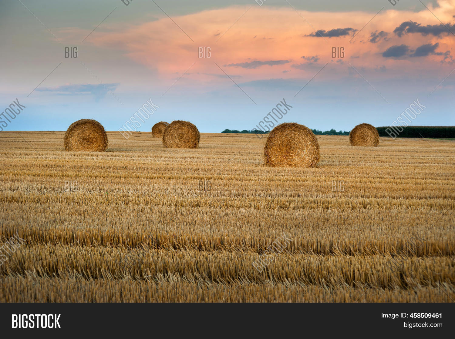 Straw Bales Roll Image & Photo (Free Trial) | Bigstock
