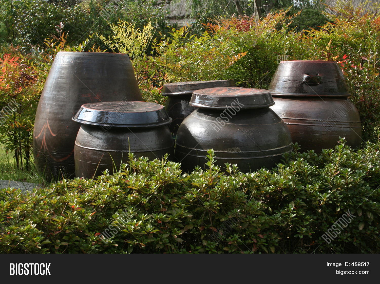Kimchi Pots Image & Photo (Free Trial) | Bigstock