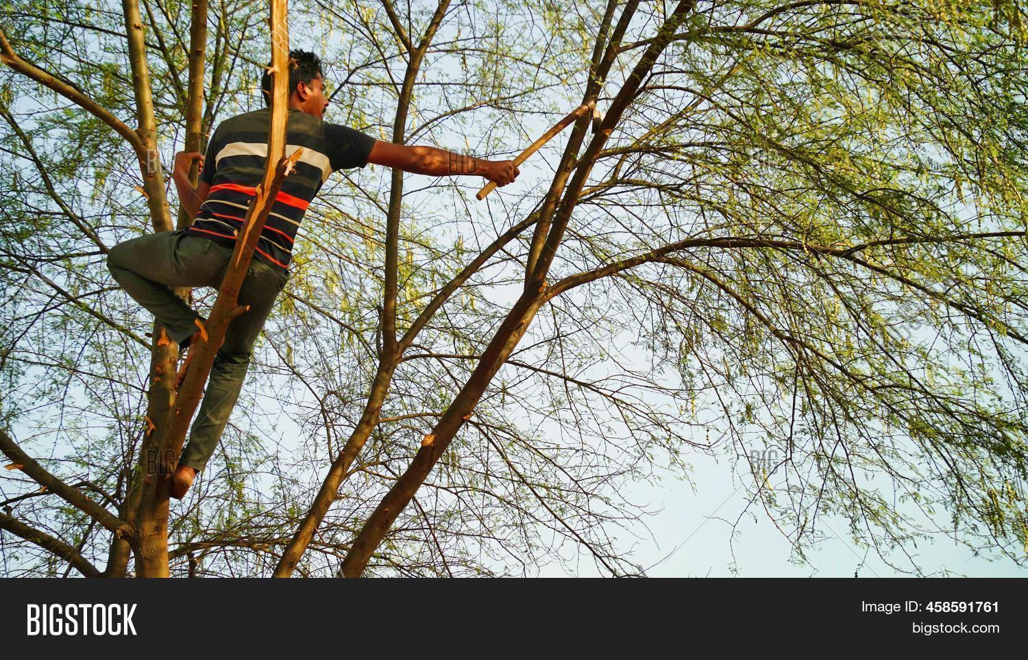 Indian Man Pruning Image & Photo (Free Trial) | Bigstock