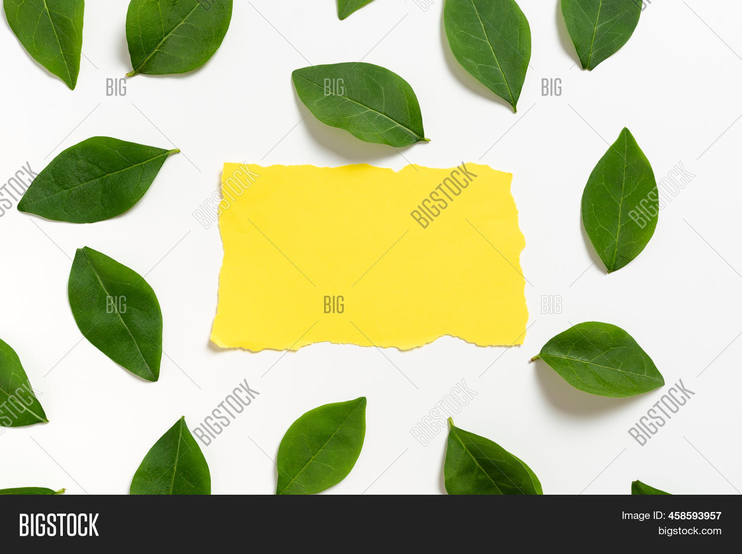Blank Color Paper Image & Photo (Free Trial) | Bigstock