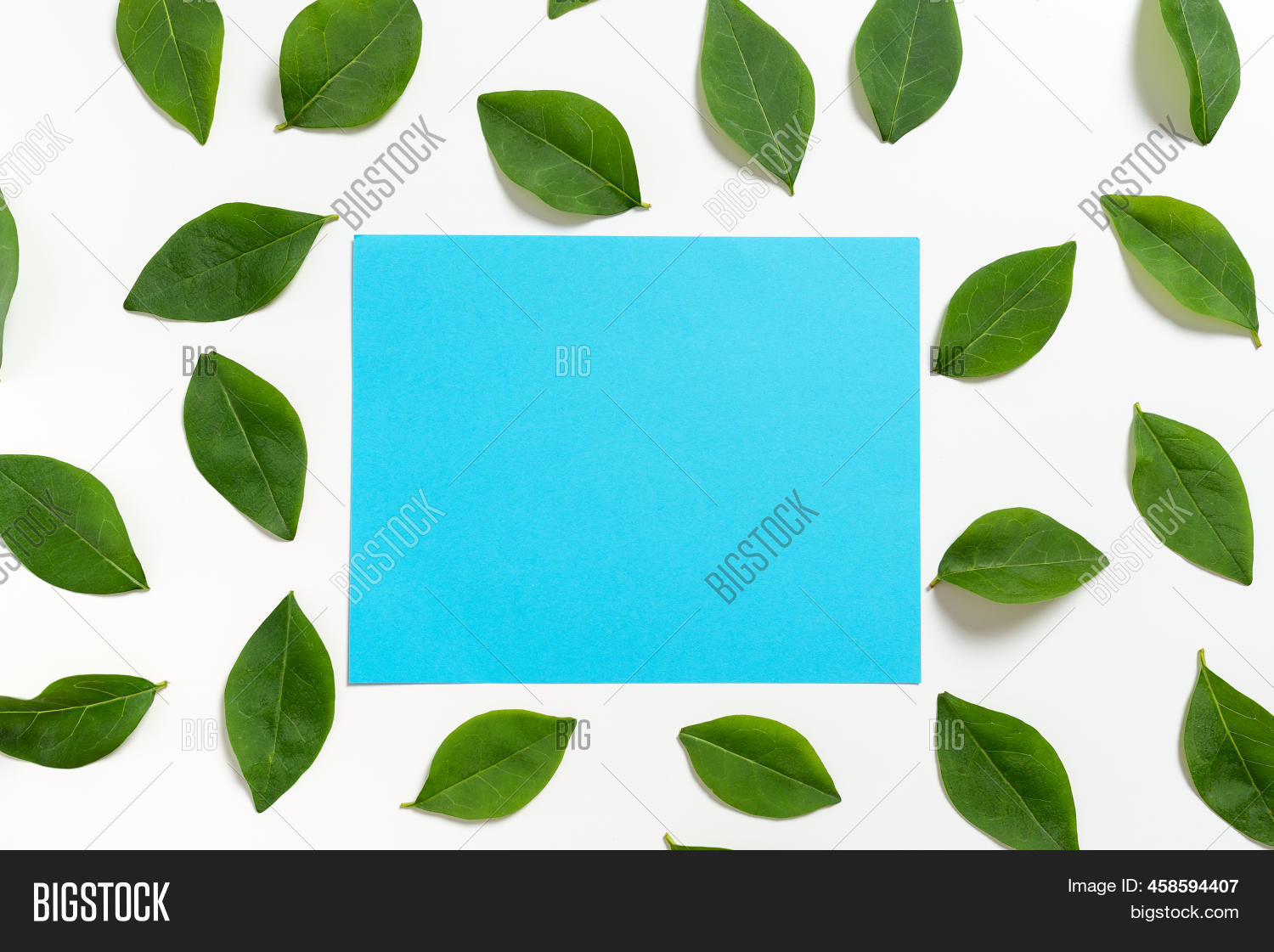 Blank Color Paper Image & Photo (Free Trial) | Bigstock
