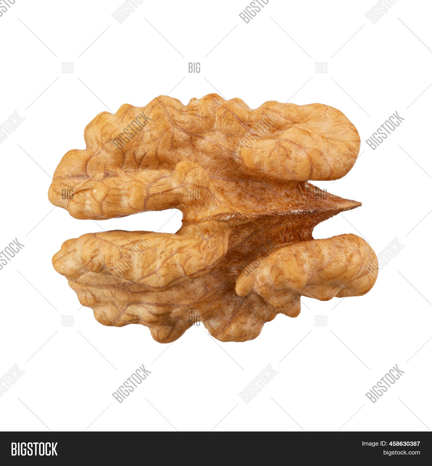Peeled Walnut On Image & Photo (Free Trial) | Bigstock