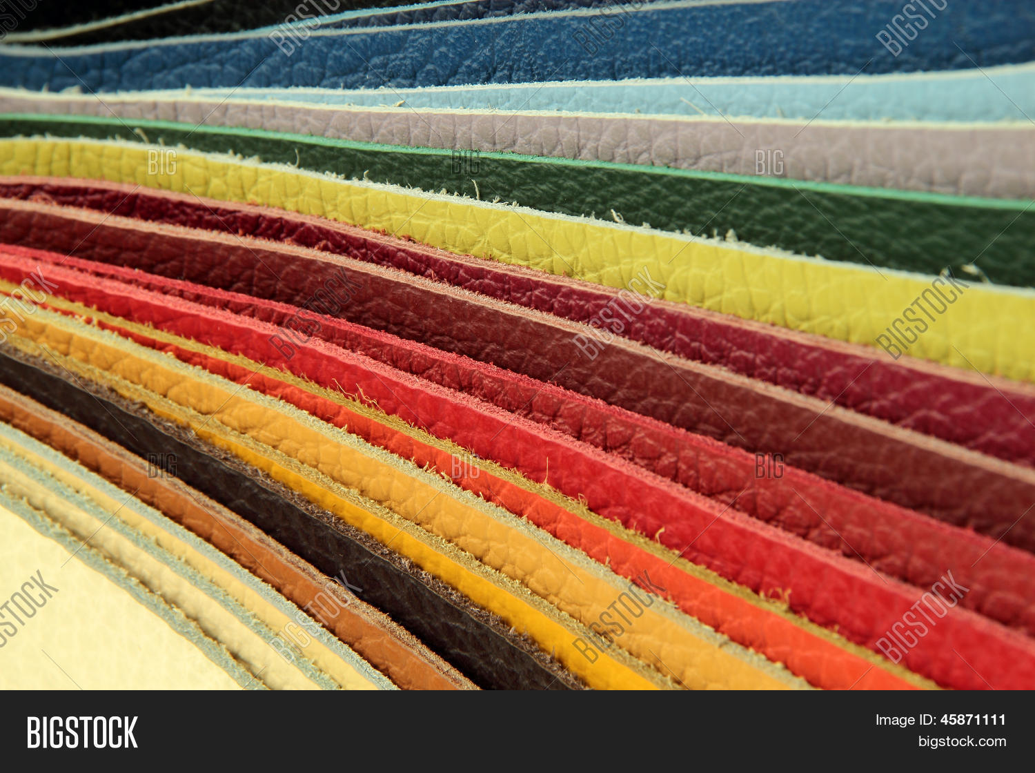 Color Palette Sample Image & Photo (Free Trial) | Bigstock