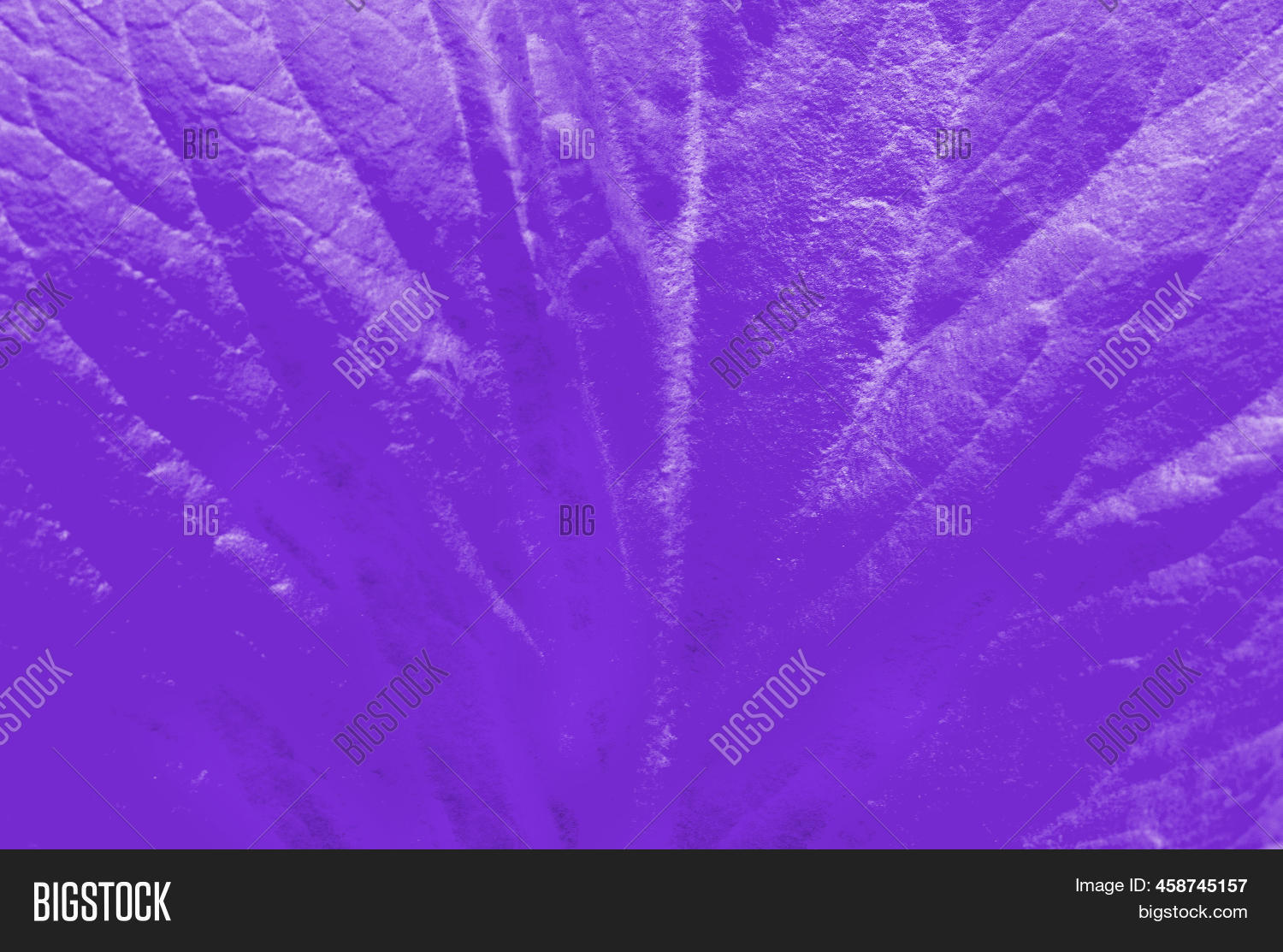 Texture Purple Leaf Image & Photo (Free Trial) | Bigstock