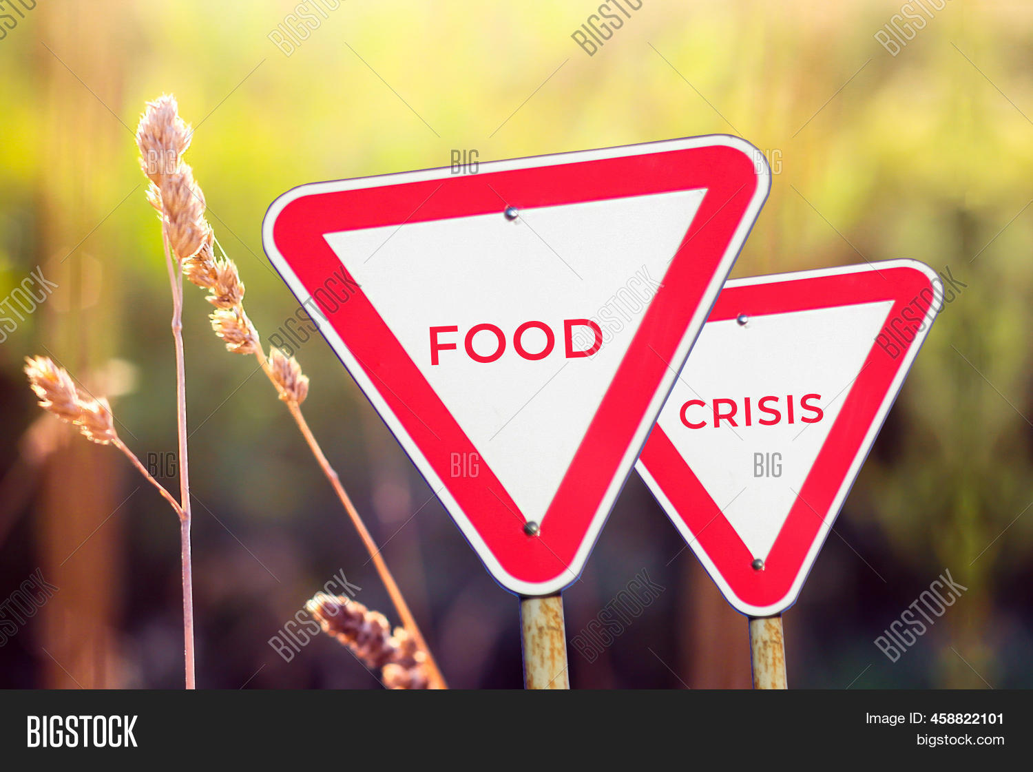 Food Crisis Concept. Image & Photo (Free Trial) | Bigstock