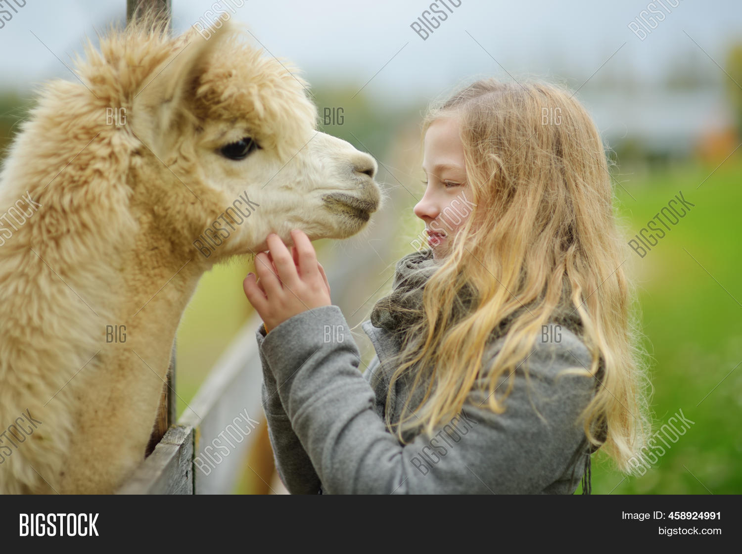 Cute Young Girl Image And Photo Free Trial Bigstock