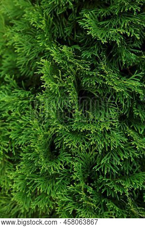 ภาพและภาพถ่าย (ทดลองใช้ฟรี) | Bigstock