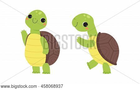 Cute Turtle Baby Vector & Photo (Free Trial) | Bigstock